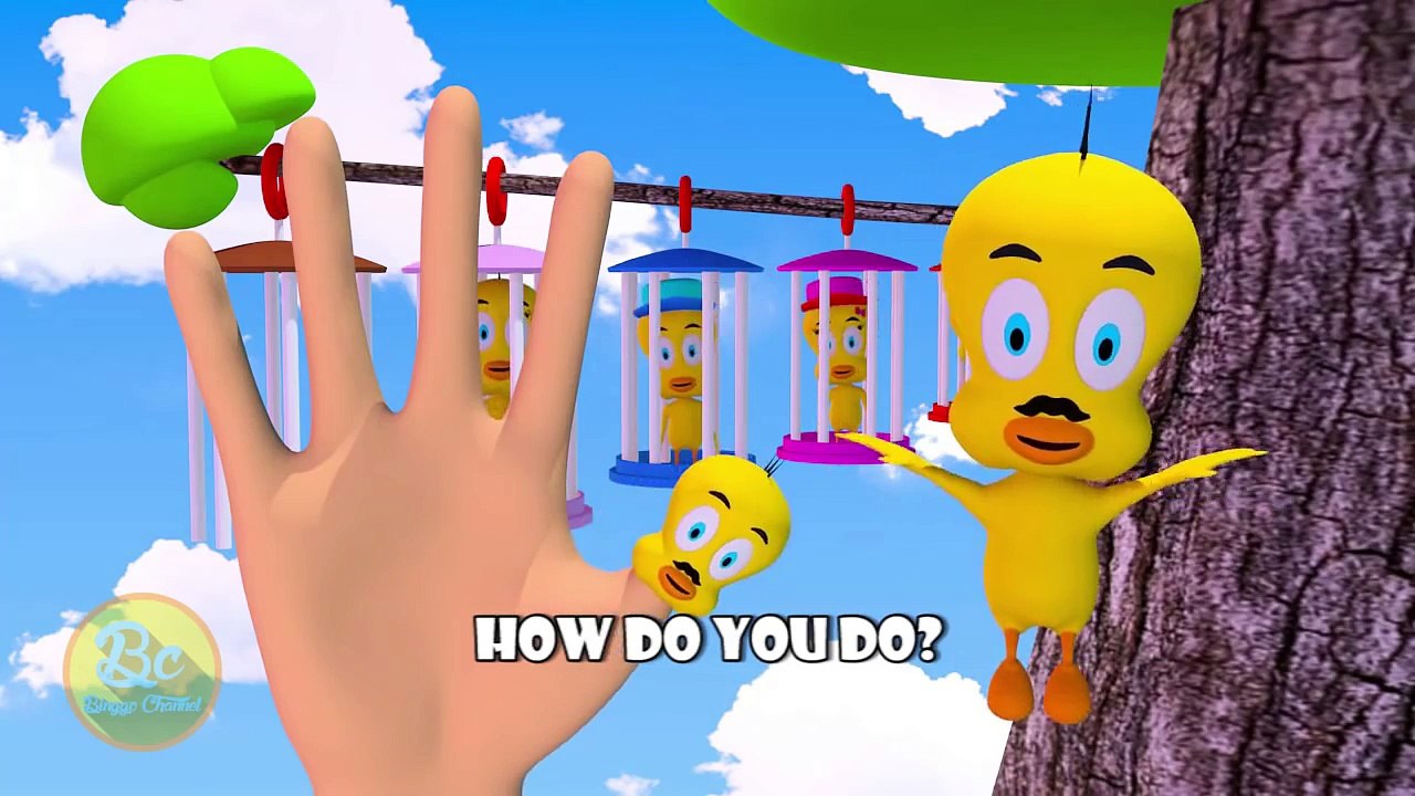 Tweety Bird Finger Family | Nursery Rhymes | 3D Animation In HD From ...
