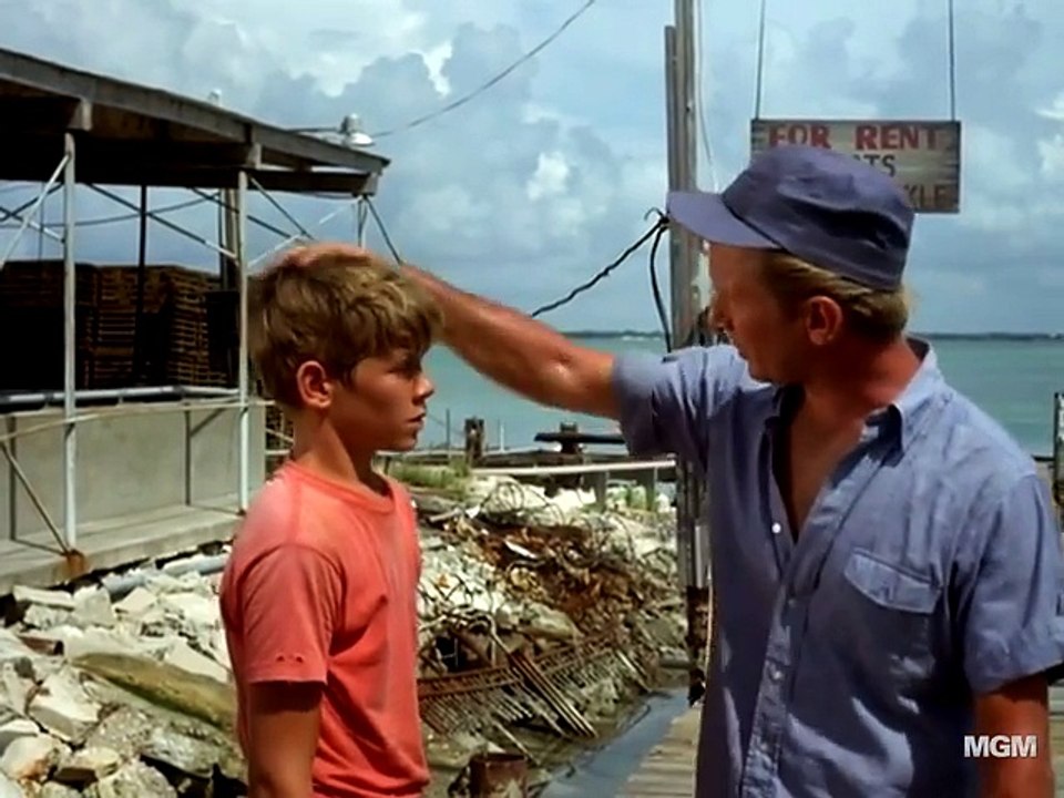 Flipper S03E05 The Warning - video Dailymotion