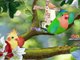3rd & Bird Episodes by JigglypuffLover22 - Dailymotion