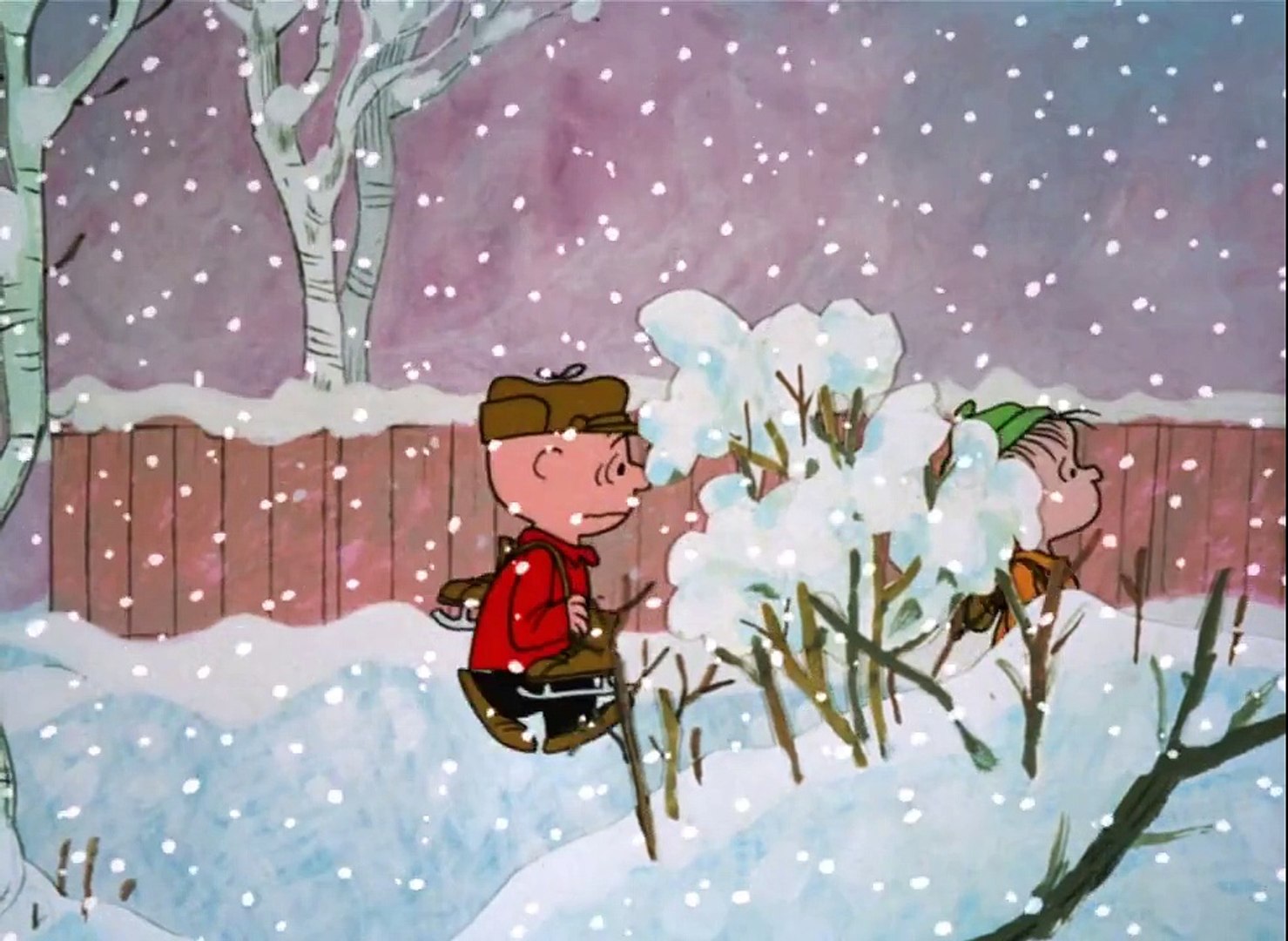 Charlie Brown Snow Flakes