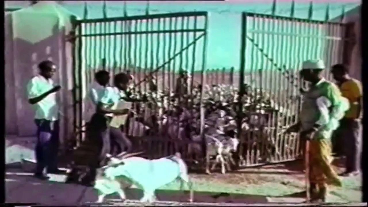 Somali Music Somaliyey War Hoo Song by ☆Jooqle, Amina Dhool, Kaltun and ...