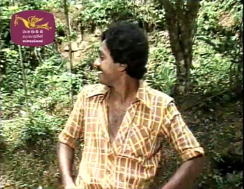 Paligu Manike | පළිඟු මැණිකේ | Sinhala Teledrama 02 - video Dailymotion