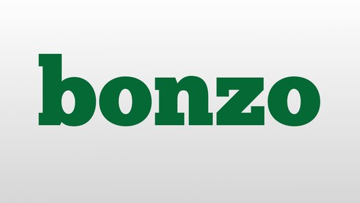bonzo meaning and pronunciation - video dailymotion