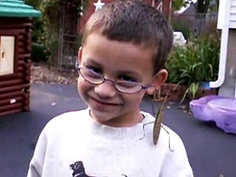 Wonder what Praying Mantis poop looks like? - video Dailymotion