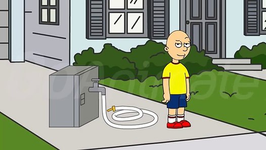 Caillous Big Wash Inflation - video dailymotion