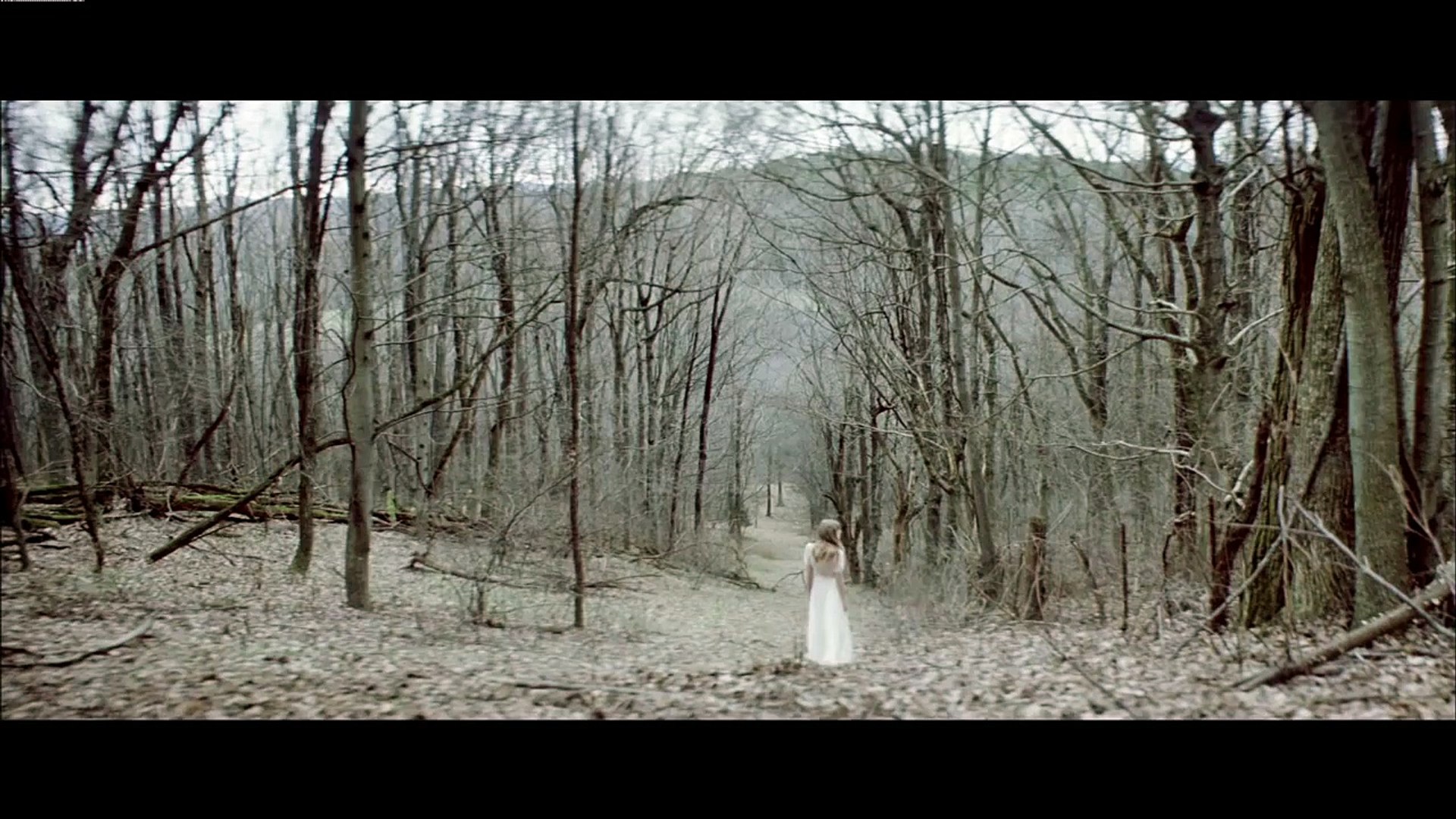 Safe And Sound Taylor Swift Hd