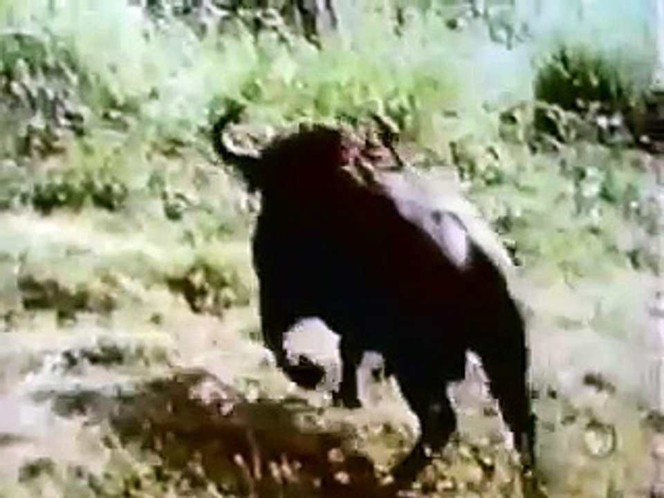 sesame street episode 3870 pt 2 - video Dailymotion