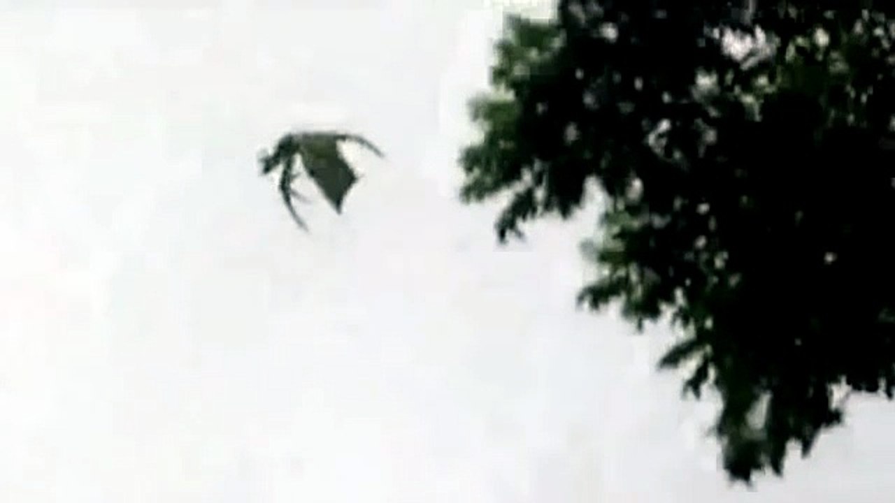 Dragon Caught on Camera in London - YouTube - video Dailymotion
