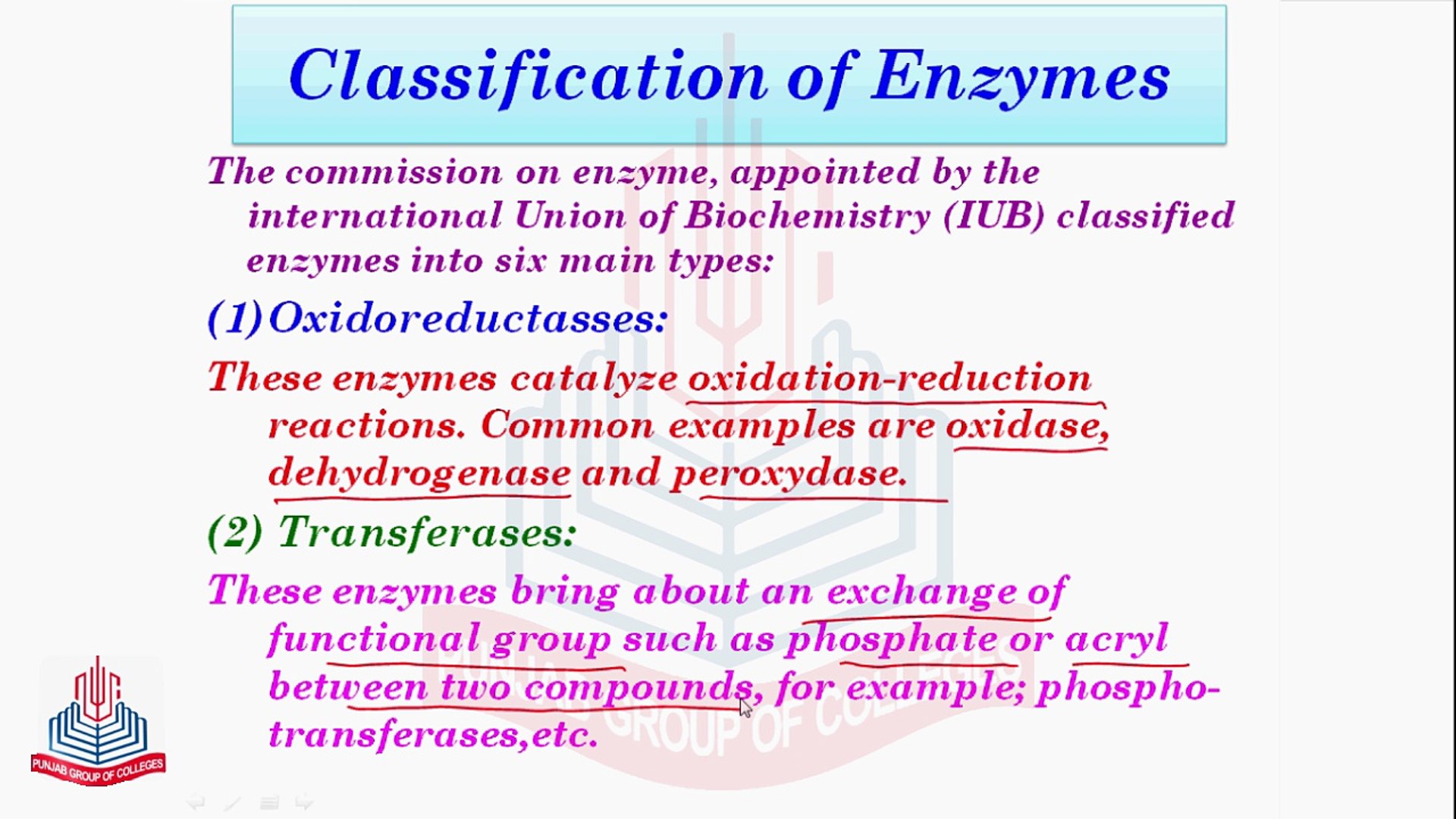 Nomenclature And Classification Of Enzymes Nomenclature And