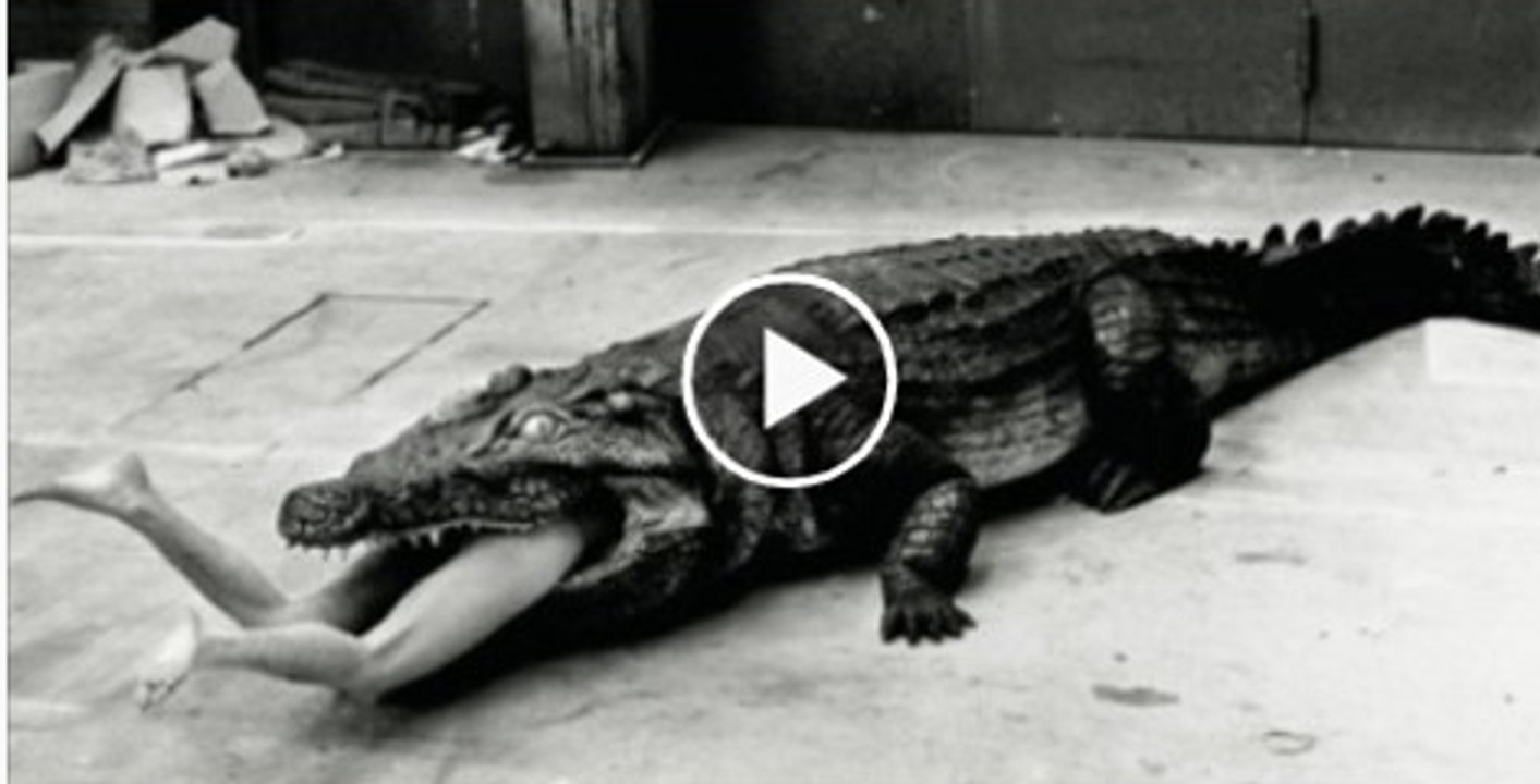 See The Video Biggest Crocodile Eats A Girl Alive - video Dailymotion