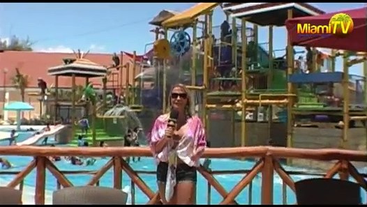 A Full Overview Of Jenny Scordamaglia Miami Tv