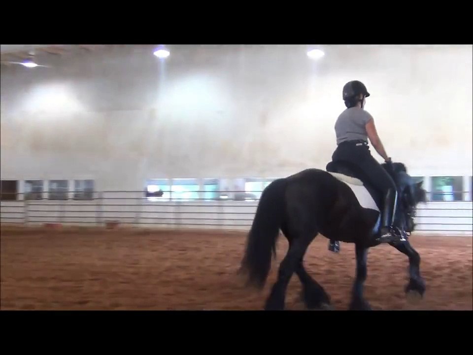 Napoleon Riding Video - video Dailymotion