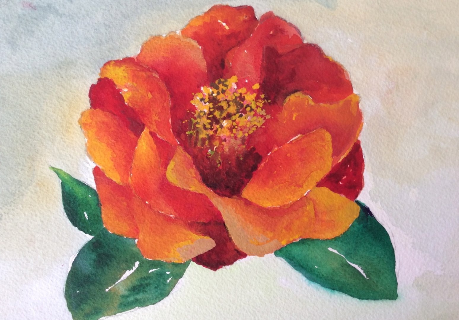 Camellia Flower Painting