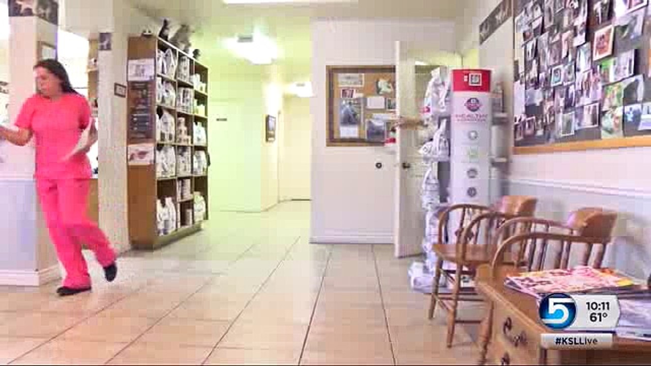 Sauvetage miracle d'un chien aux USA - Vidéo Dailymotion