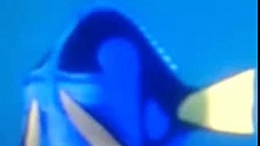 Finding nemo dory crying - video dailymotion