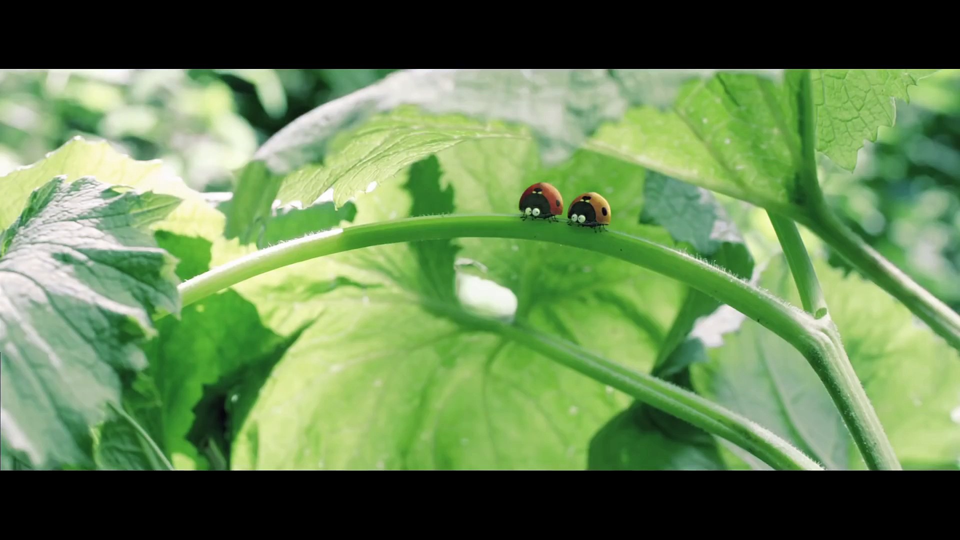 Minuscule Valley Of The Lost Ants Wallpapers