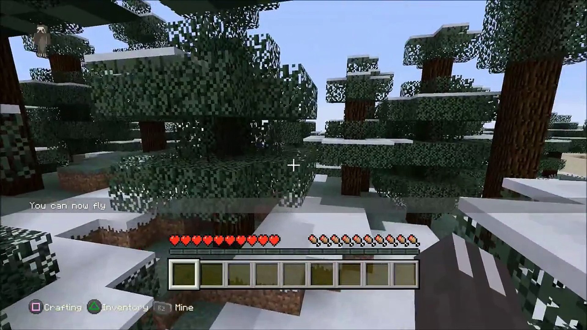Minecraft Huge Village Seed Ps3
