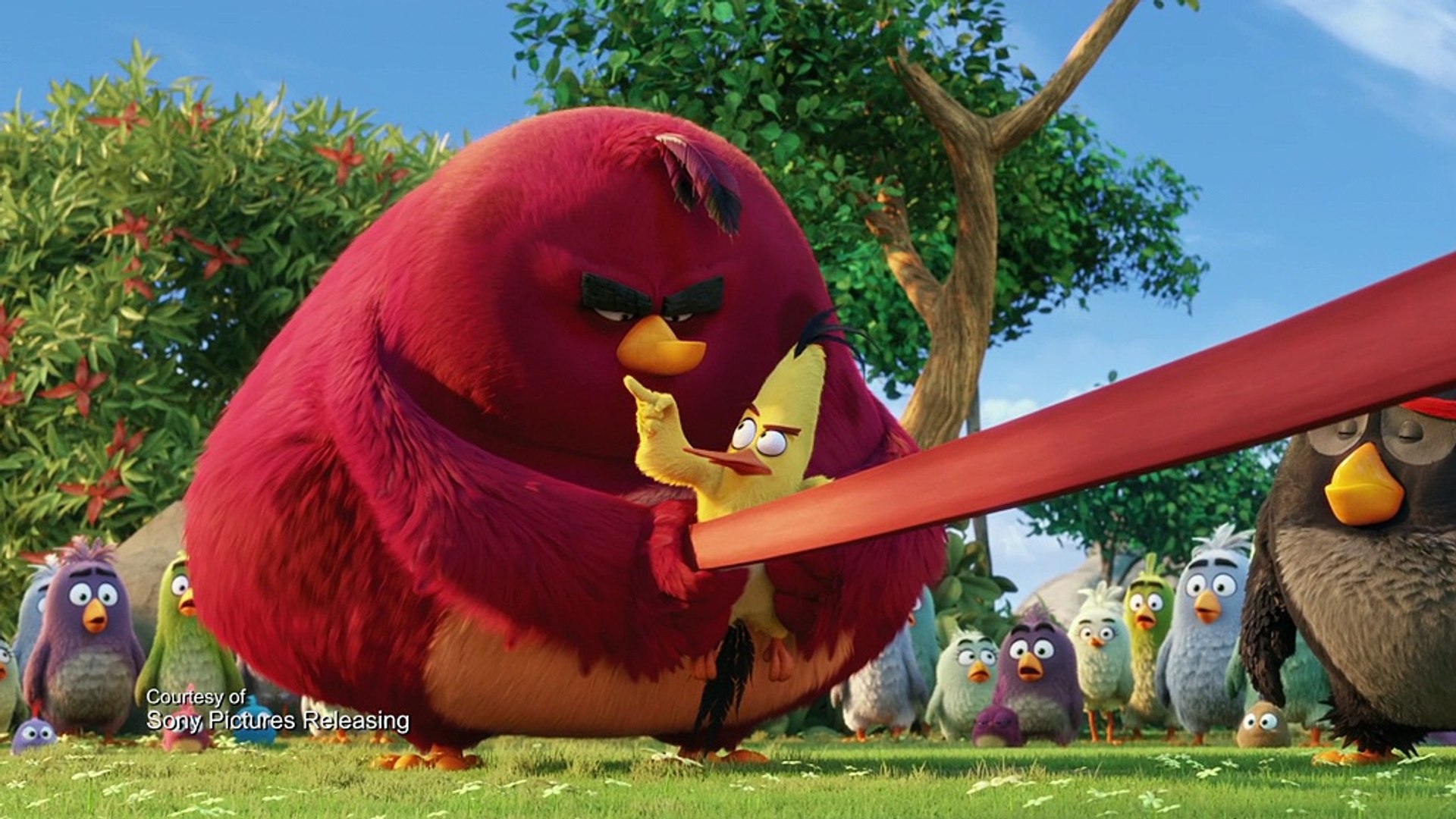 Angry Birds Slingshot Pictures