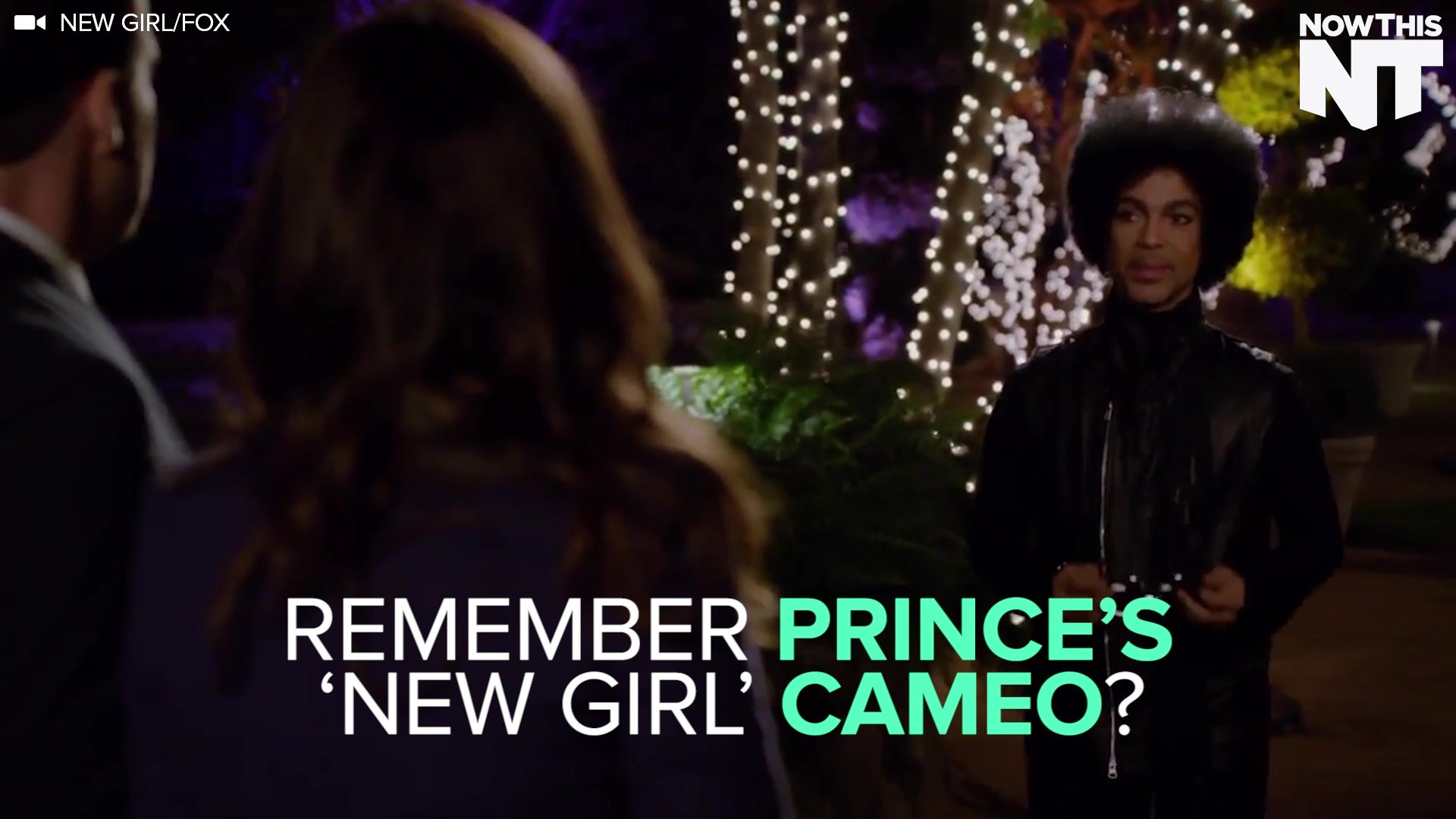Prince New Girl