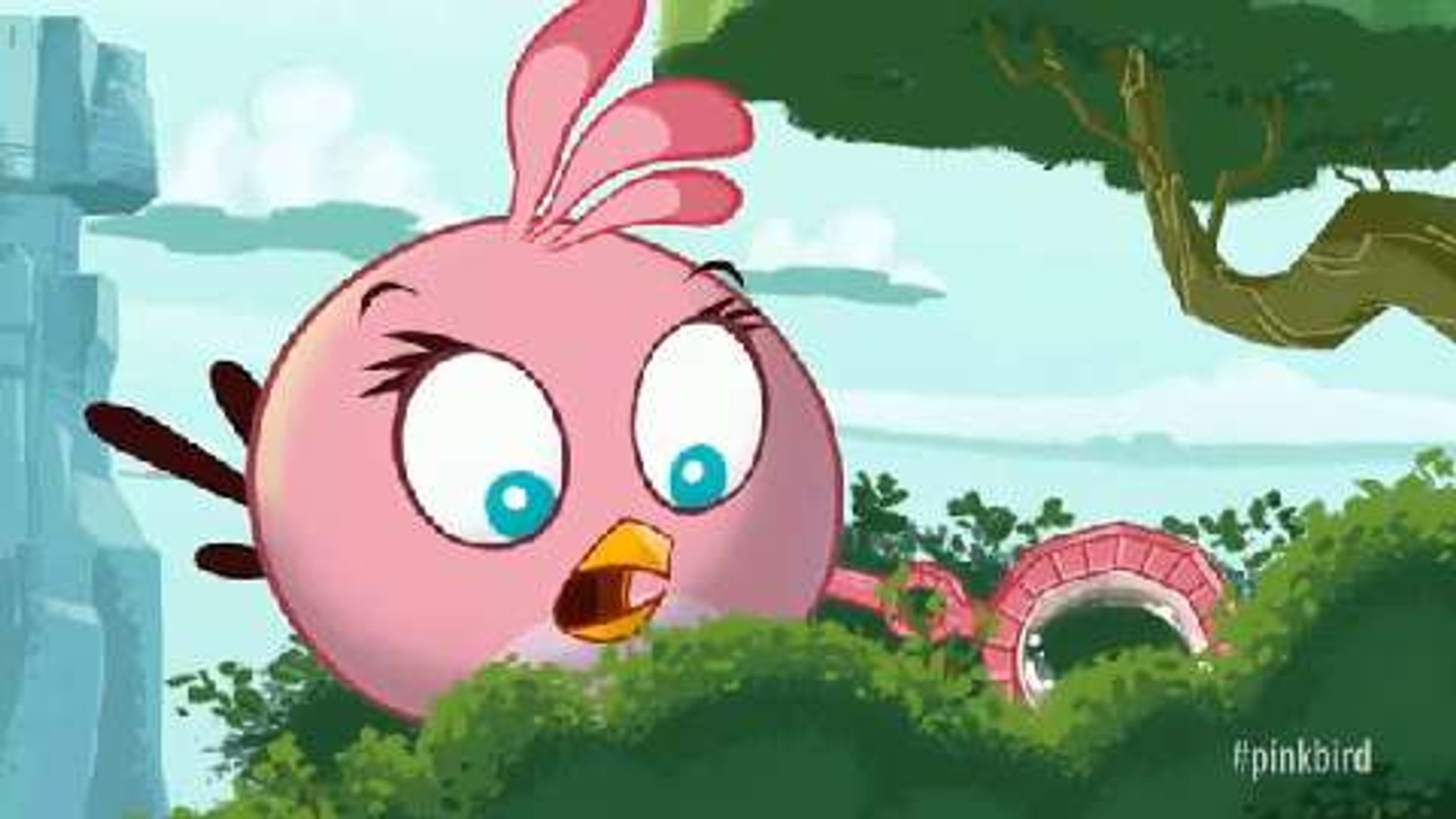 Angry Birds Pink Bird
