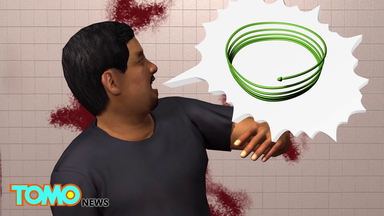 Giant python hiding in toilet bites man's penis when he goes to the ...