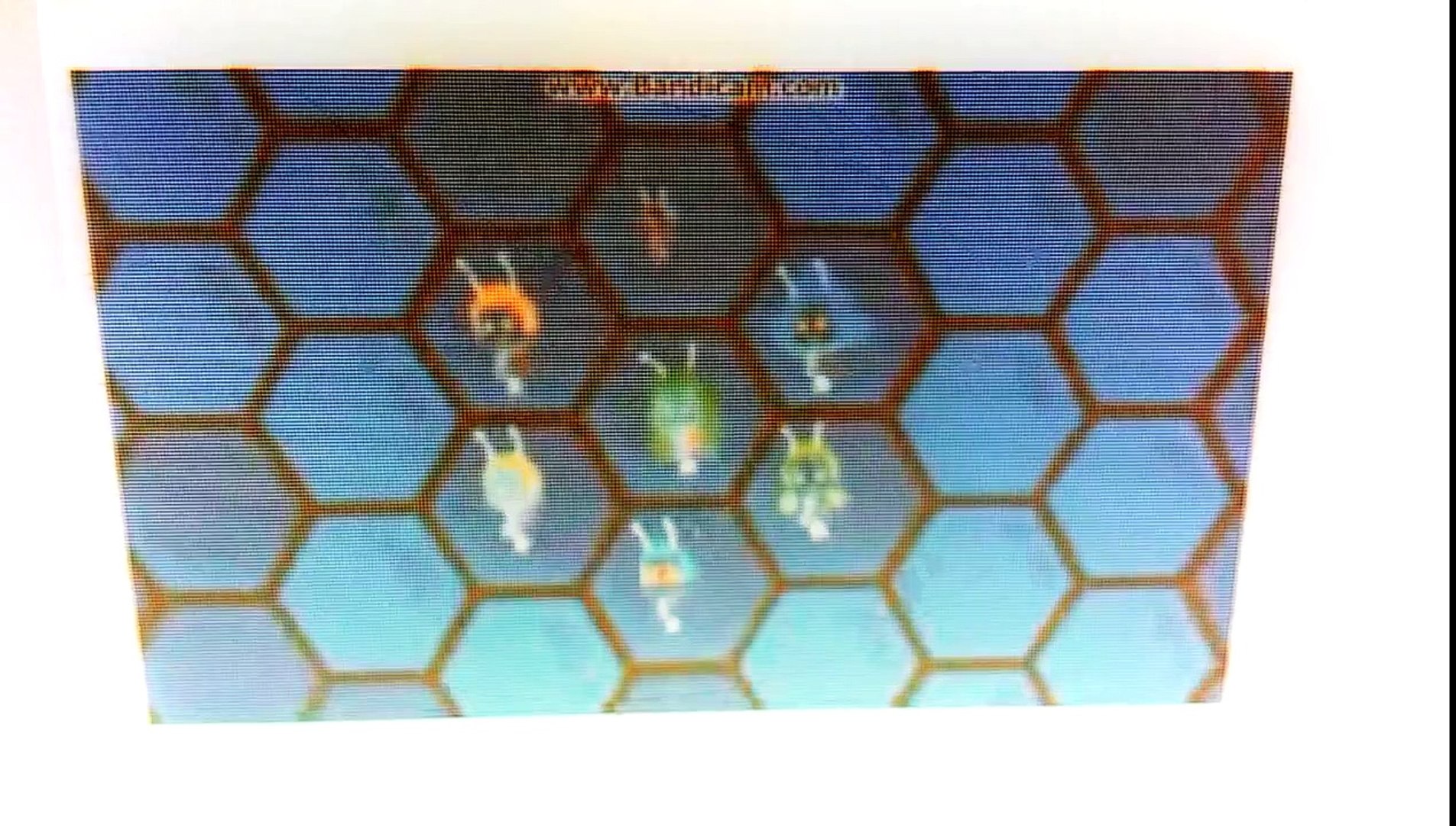 Bubble Guppies Bee Dance