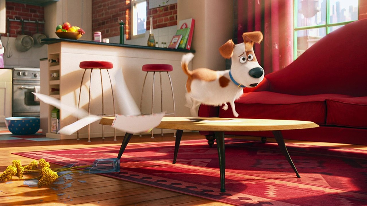 The Secret Life Of Pets - Clip - Max Tries To Frame Duke - video ...