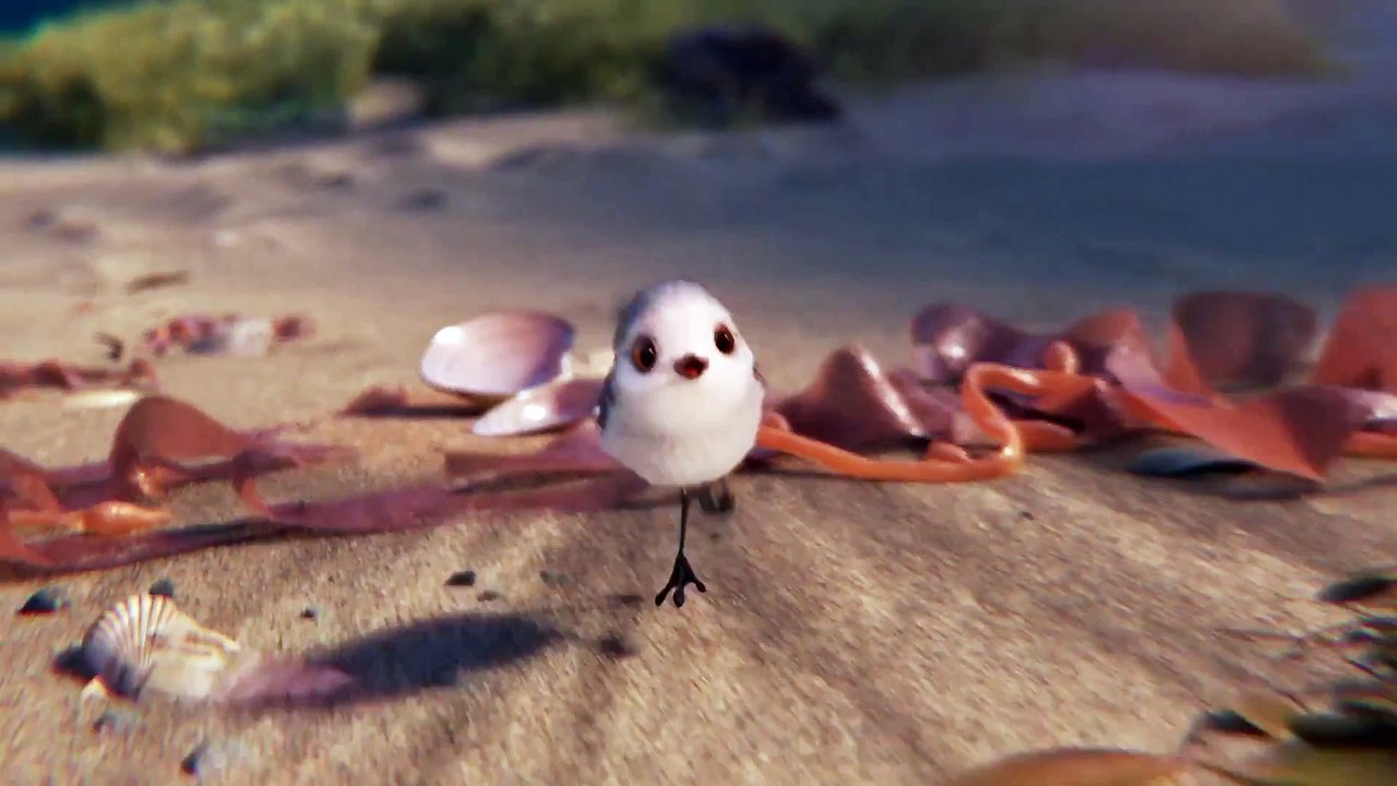 Piper - Pixar Animated Short - First Look - video Dailymotion