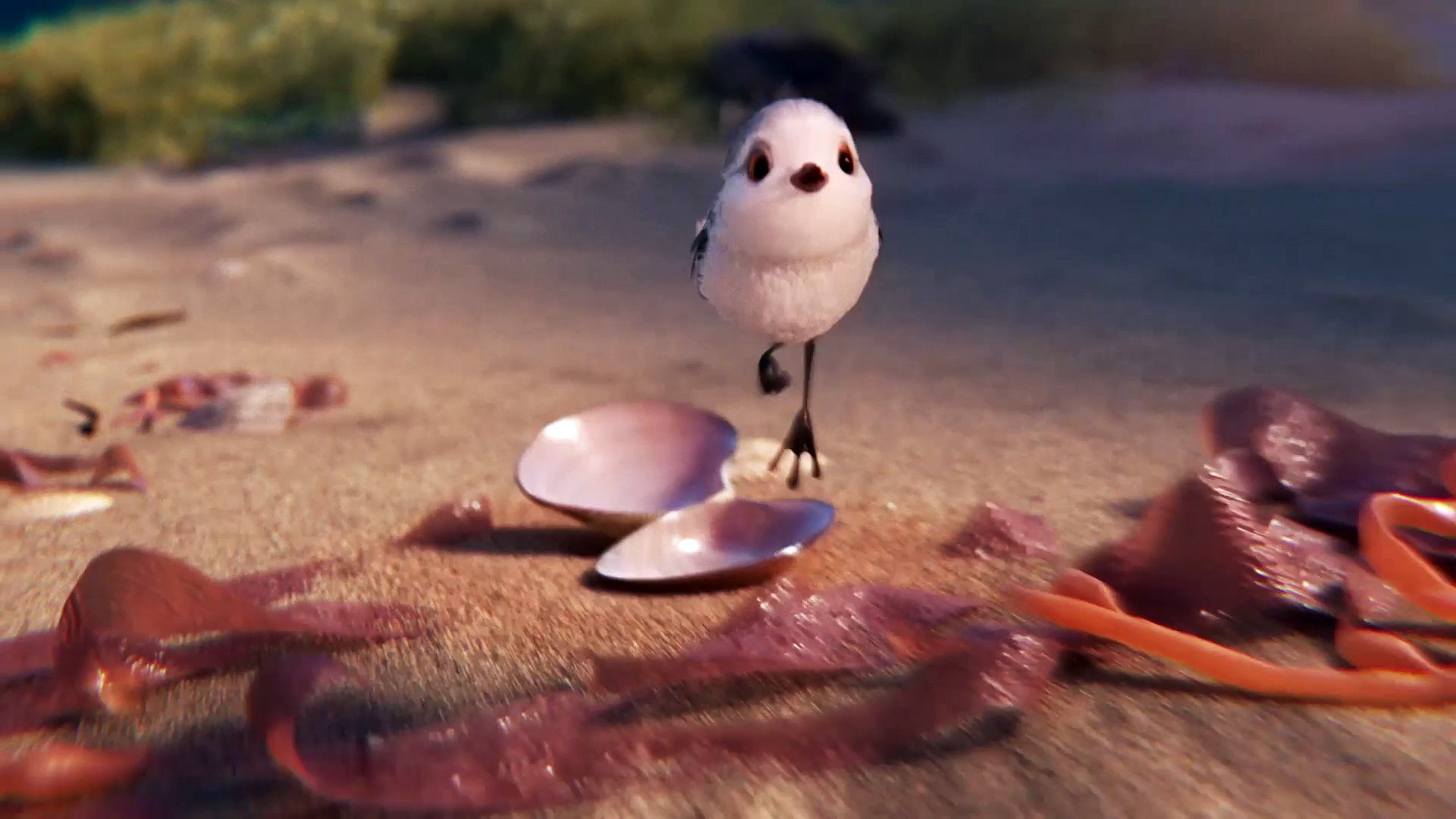 Fondo De Pantalla Del Cortometraje De Disney Piper