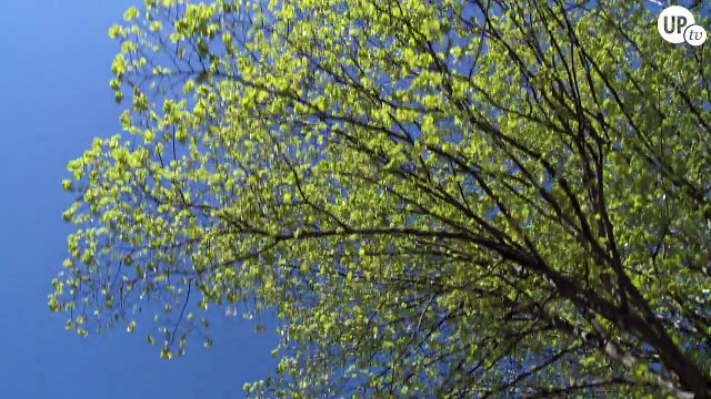 Vidéos de IC2MP - Dailymotion