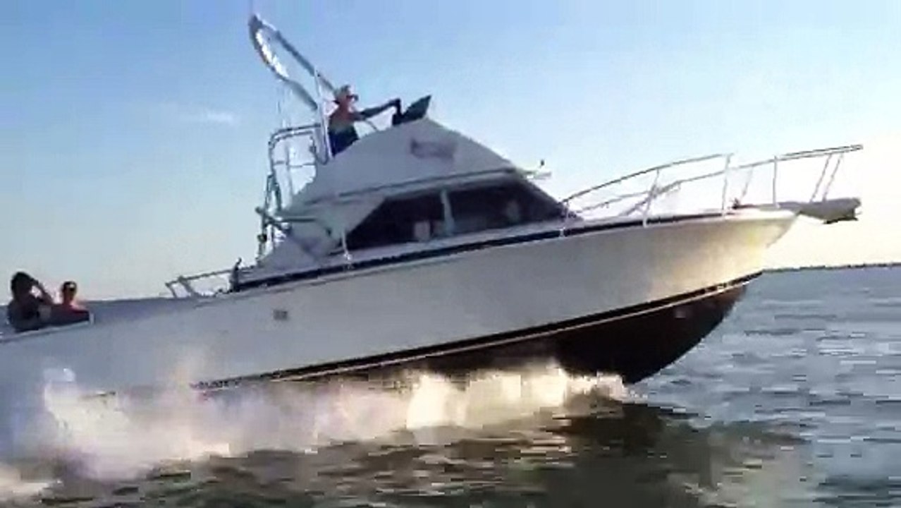 Bertram 28 outboards - video Dailymotion