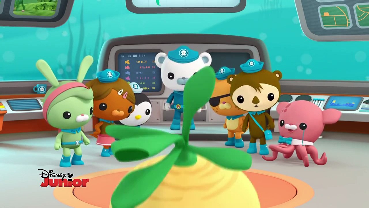 Octonauts - La minute sous-marine : les loutres - Dailymotion Video