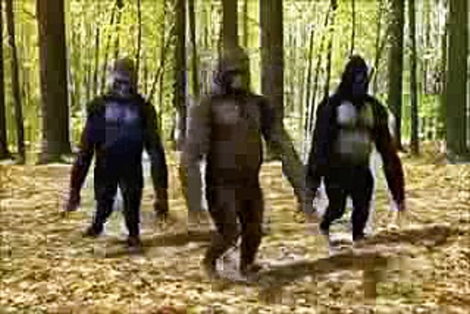 Funny Monkeys Dancing