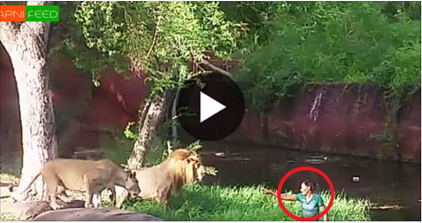 Most Expensive Lion jeans - video Dailymotion