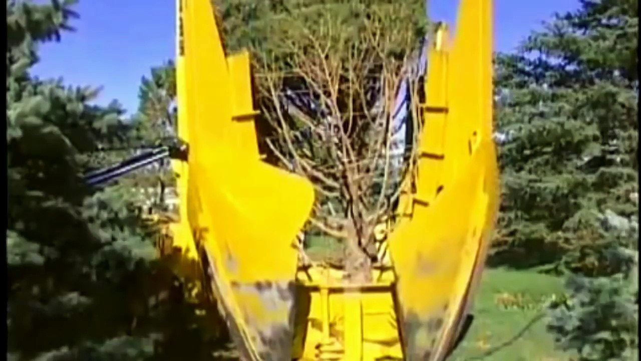 Tree removal machine - tree transplanting machines new agriculture ...
