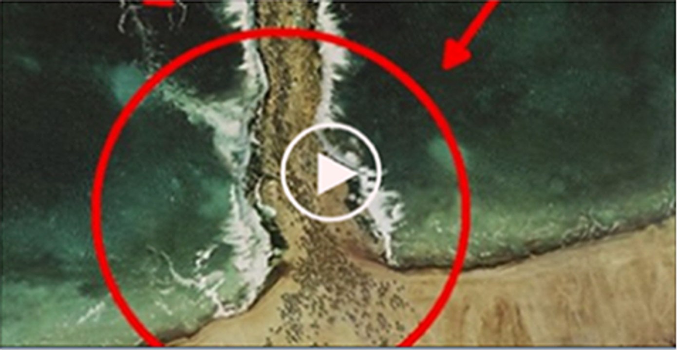 RED-SEA-CROSSING-FOUND-GOLD-PLATED-CHARIOT-WHEELS-DISCOVERED-AT-THE ...