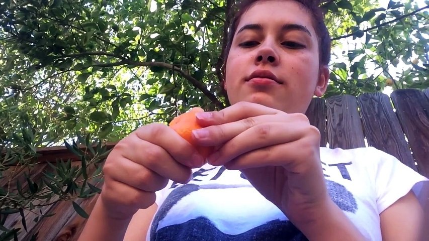 Toothpaste videos - Dailymotion