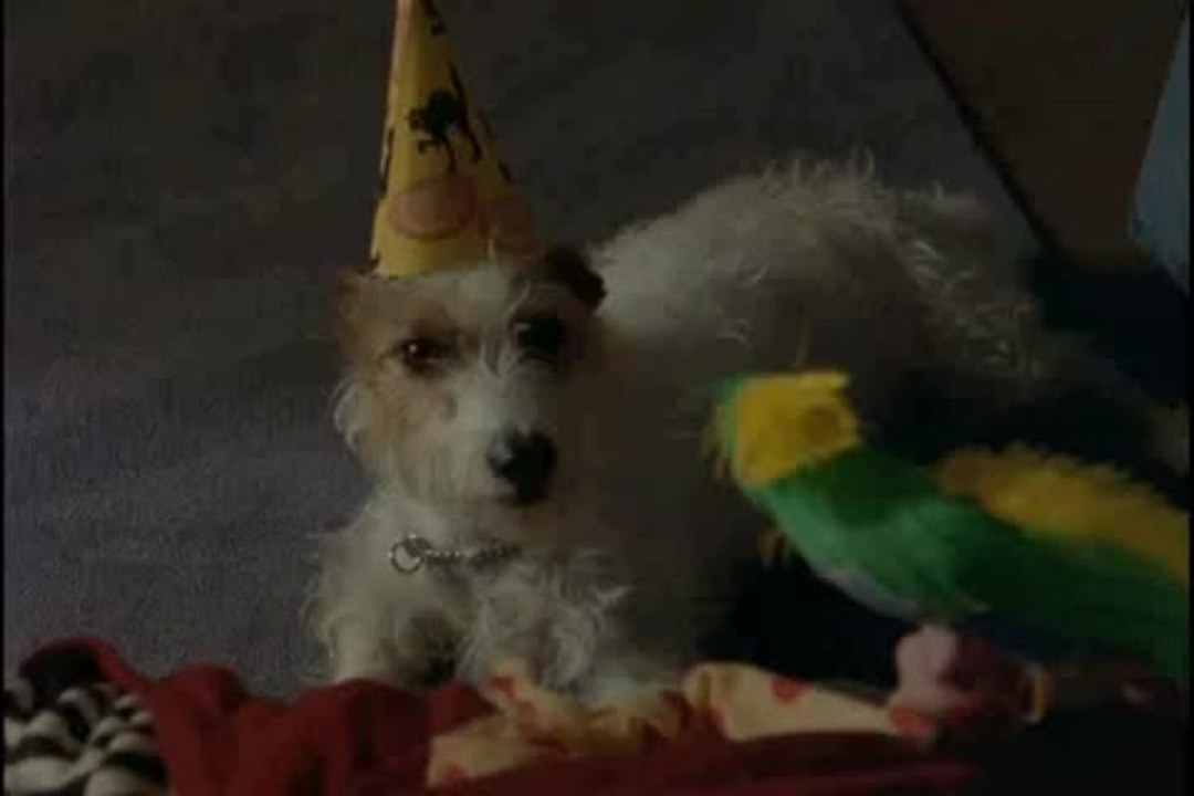 Goosebumps - S 2 E 12 - The Haunted Mask II - Part II - video Dailymotion