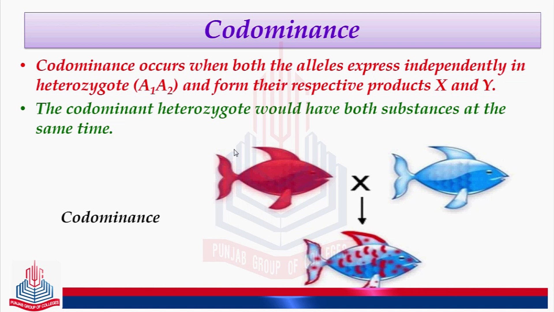 Codominance Definition