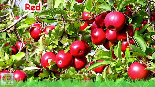 The Colors Song ~ Learn the Colors / Colours ~ Simple Learning for ...