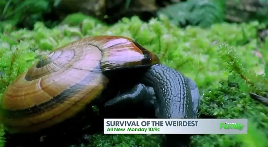 Toby Borders videos - Dailymotion