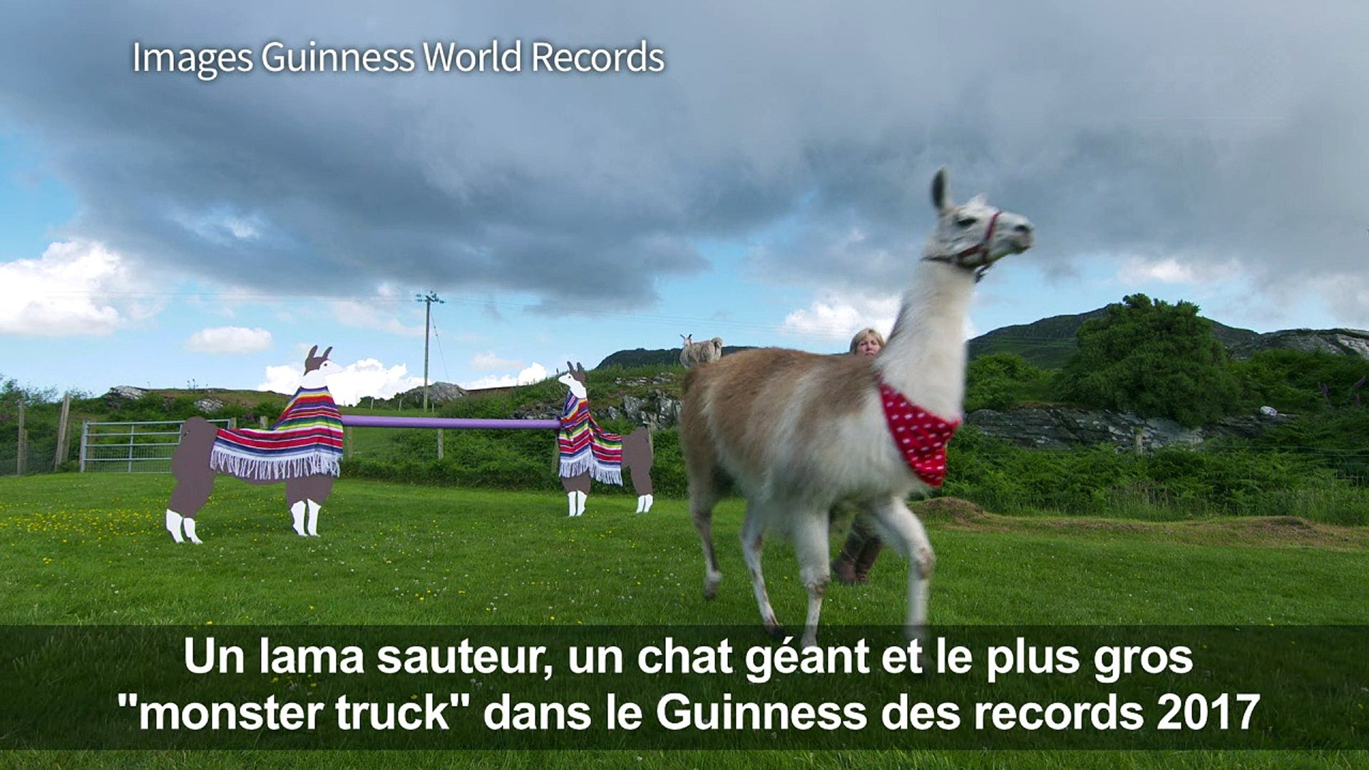 Lama Sauteur VTECH MON LAMA RODÉO INTERACTIF BÉBÉ / V Tech