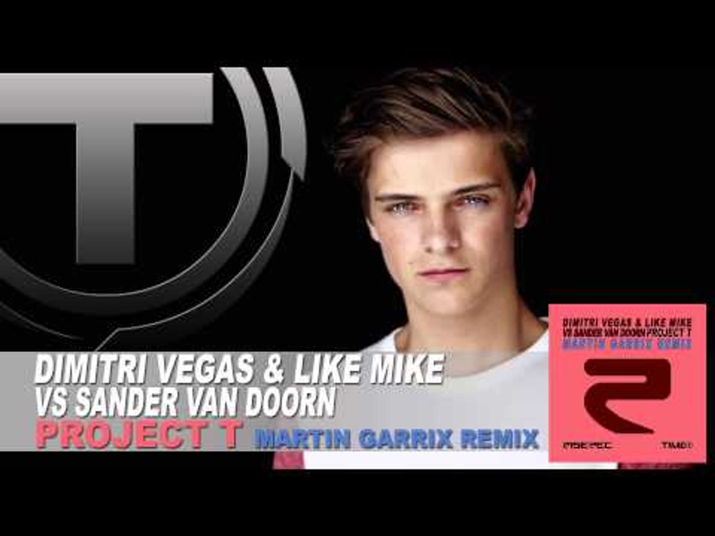 Martin Garrix Project T