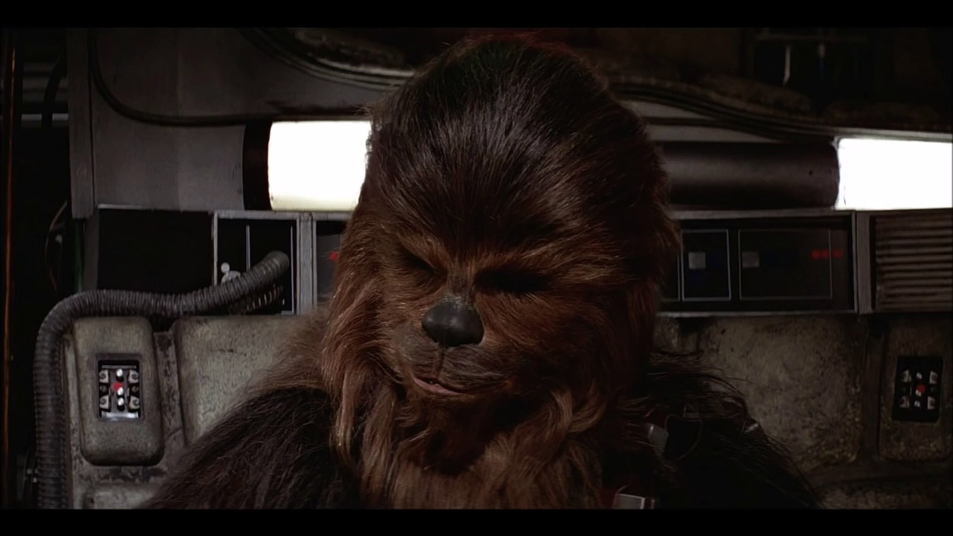 Chewbacca Sound