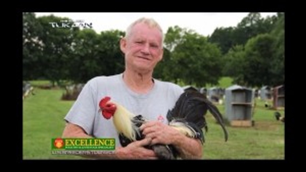 American Breeder 2015: Lonnie Harper - video Dailymotion