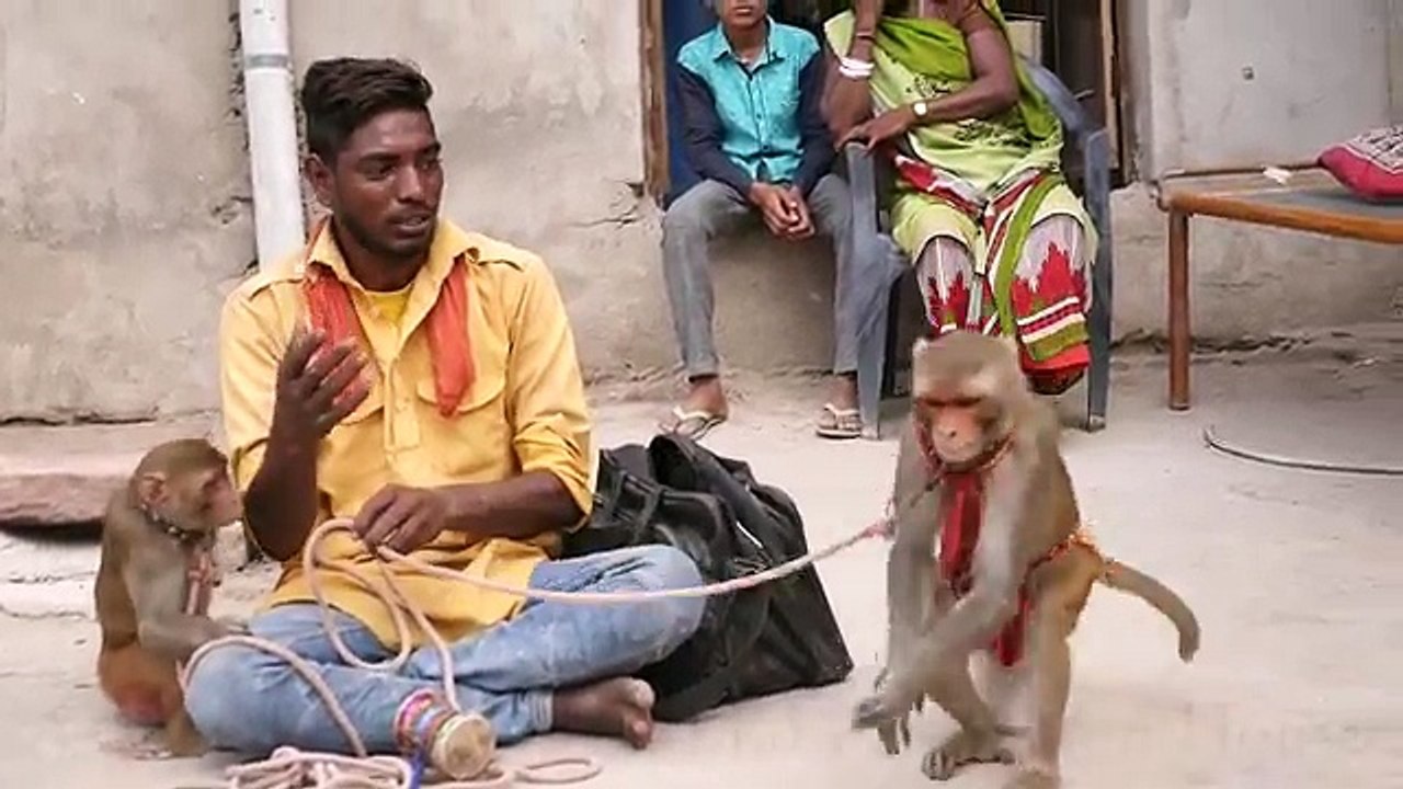 Most Funniest Street Performer With His Monkey Entertain People on ...