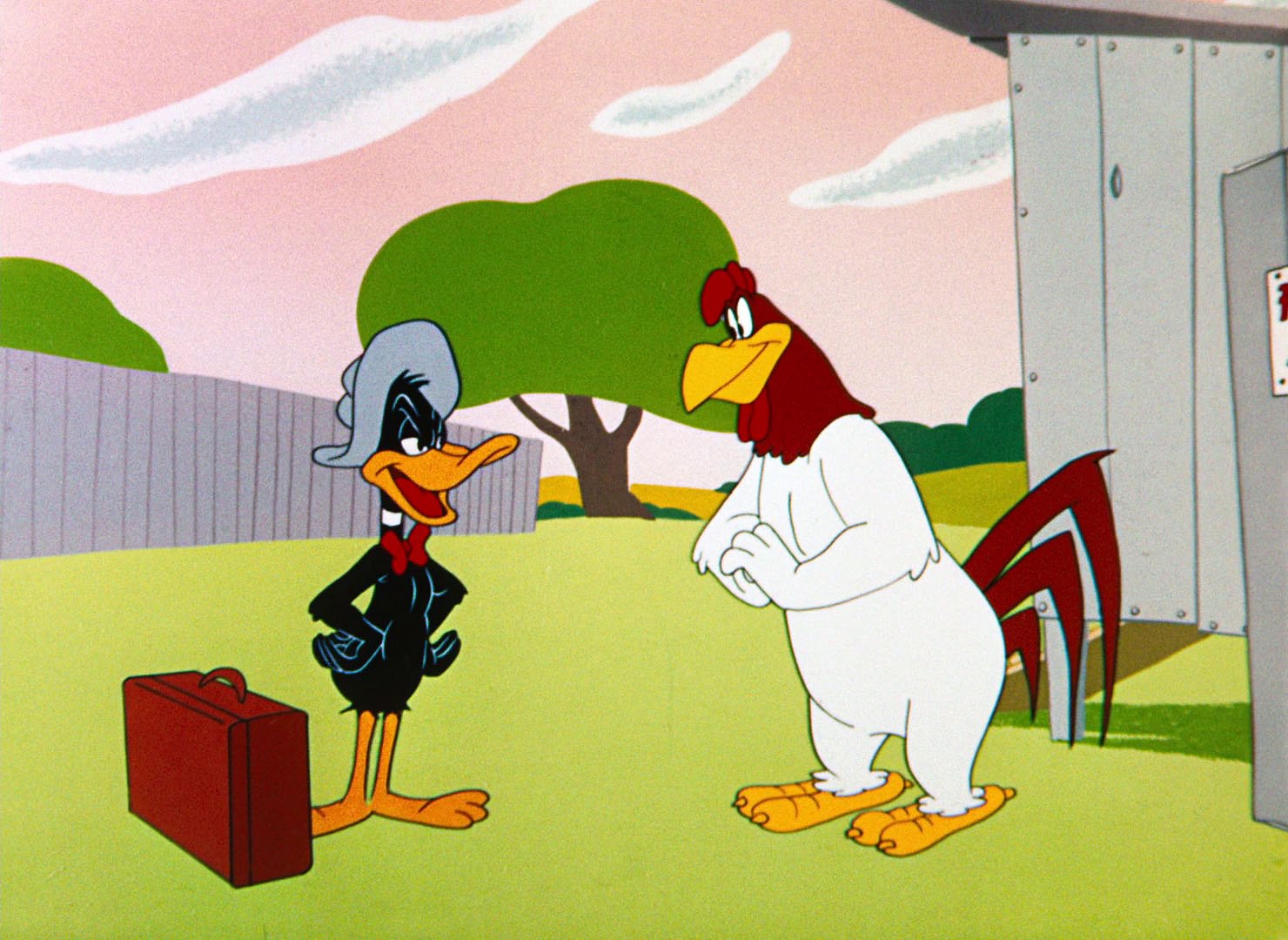 Memes El Gallo Claudio Cálmate El Gallo Claudio Sticker Cálmate El