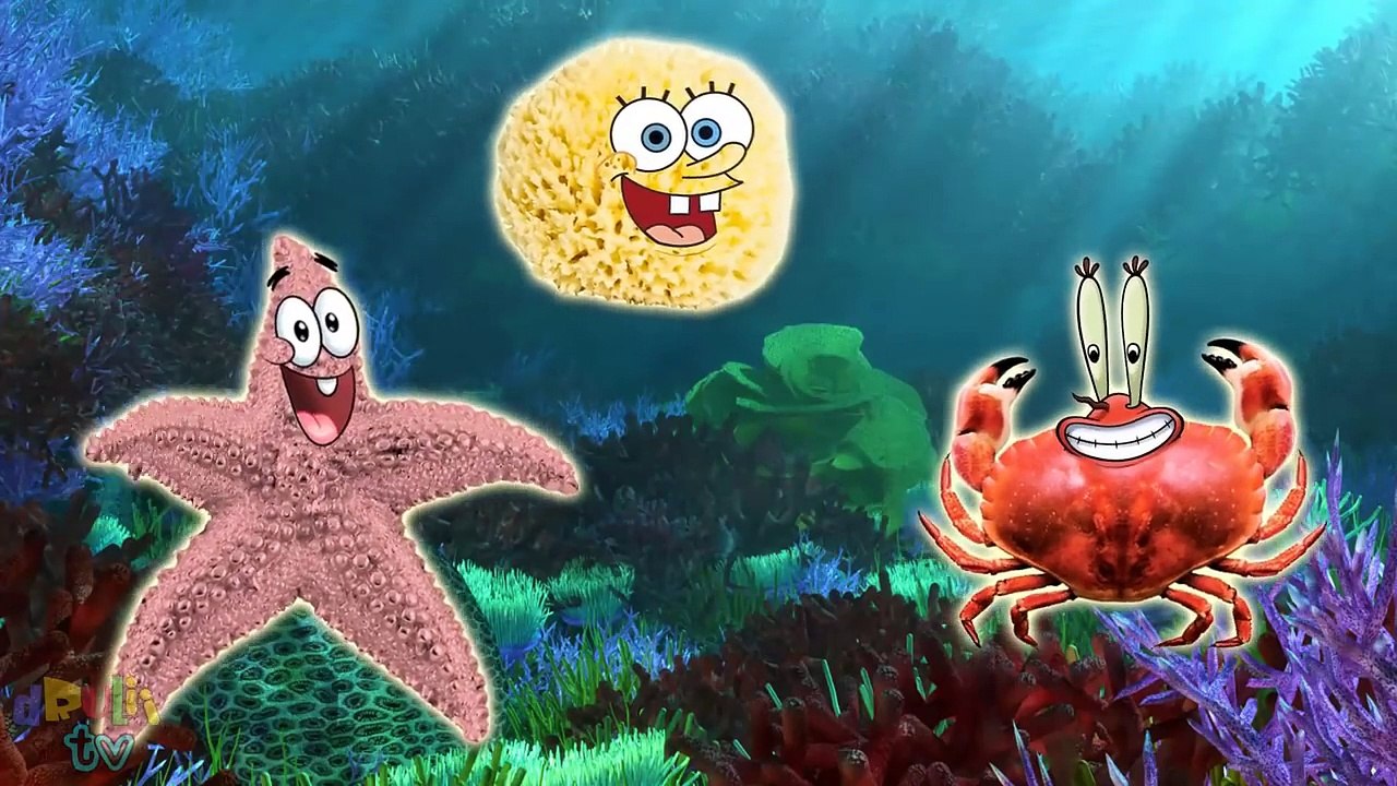 SpongeBob SquarePants Finger Family Song | Nursery Rhymes COLLECTION ...