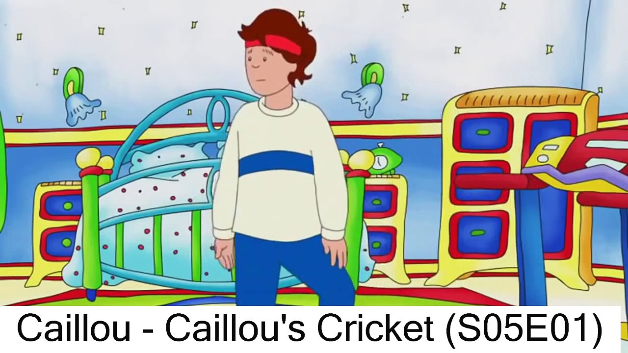 Caillou - Caillous Cricket (S05E01) - video Dailymotion