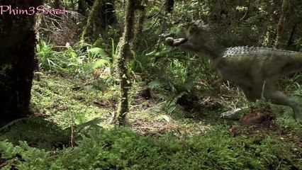 Wild animals videos - Dailymotion